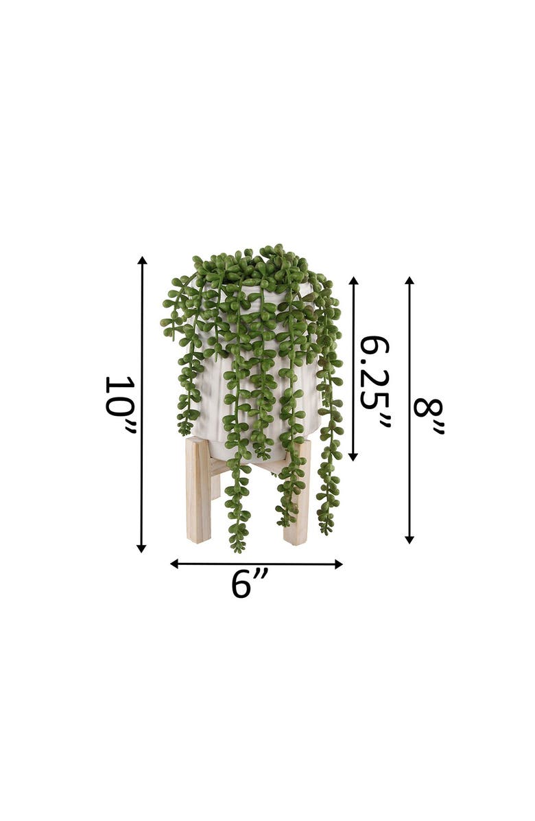 FLORA BUNDA String of Pearls Donkey Tail Ceramic Pot with Wood Stand ...