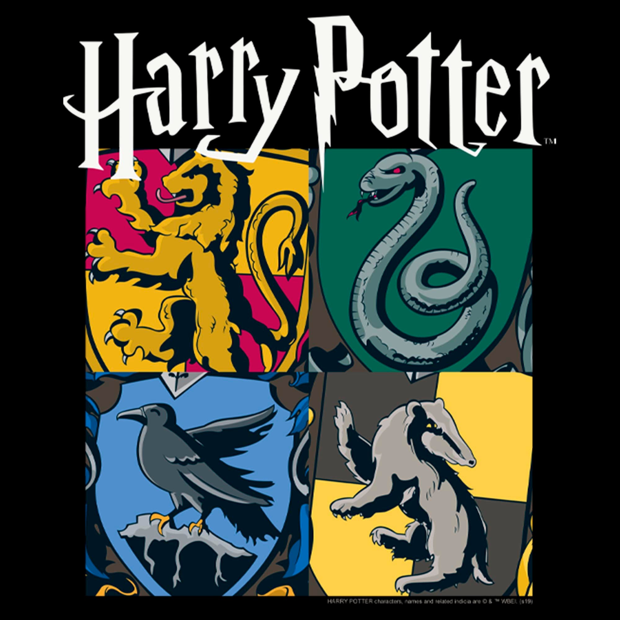 HARRY POTTER Men's Harry Potter Hogwarts Houses Vintage Collage Graphic ...