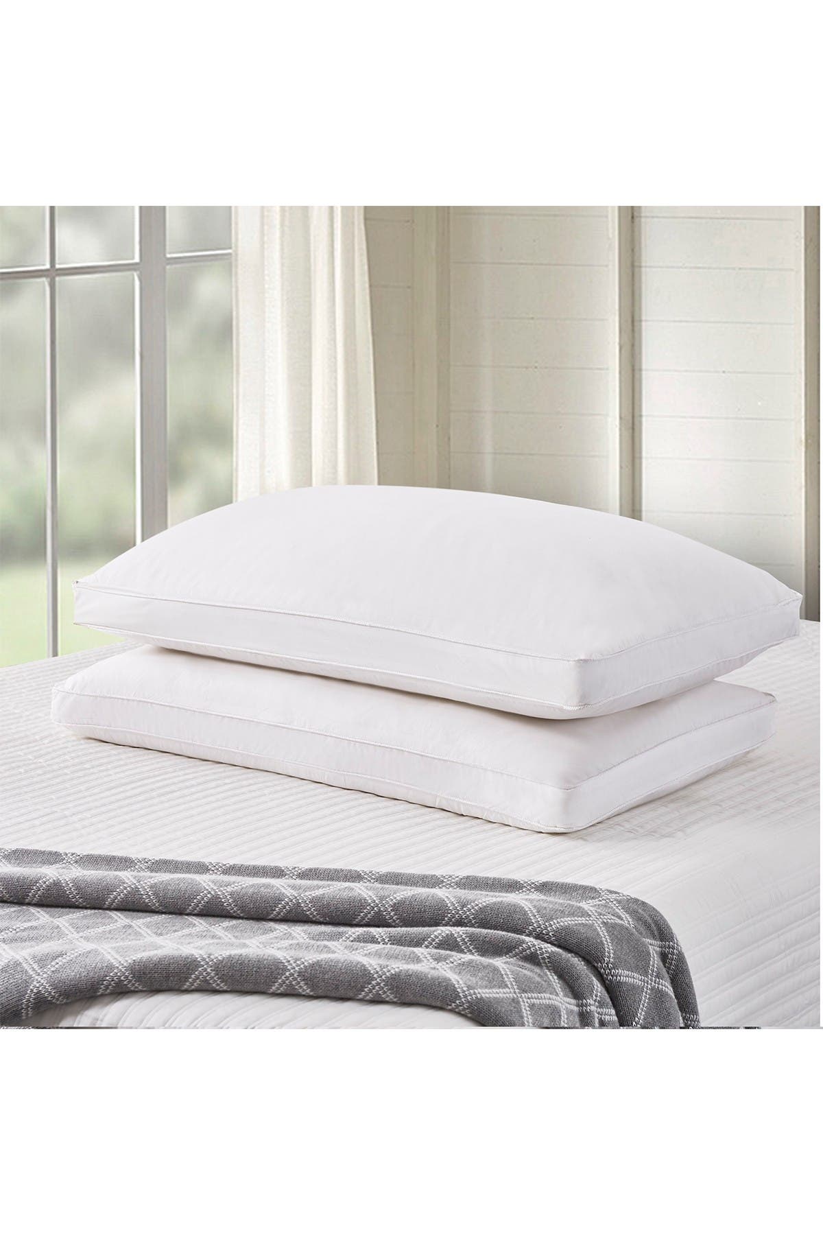BLUE RIDGE HOME FASHIONS Scott Living Goose Feather & Down Fiber Side ...