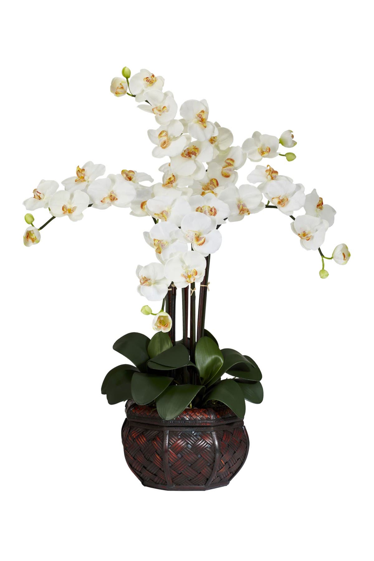 NEARLY NATURAL Natural Phalaenopsis with Decorative Vase Silk Flower ...