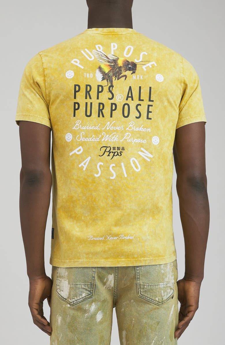 PRPS Starved Rock Graphic T-Shirt | Nordstrom