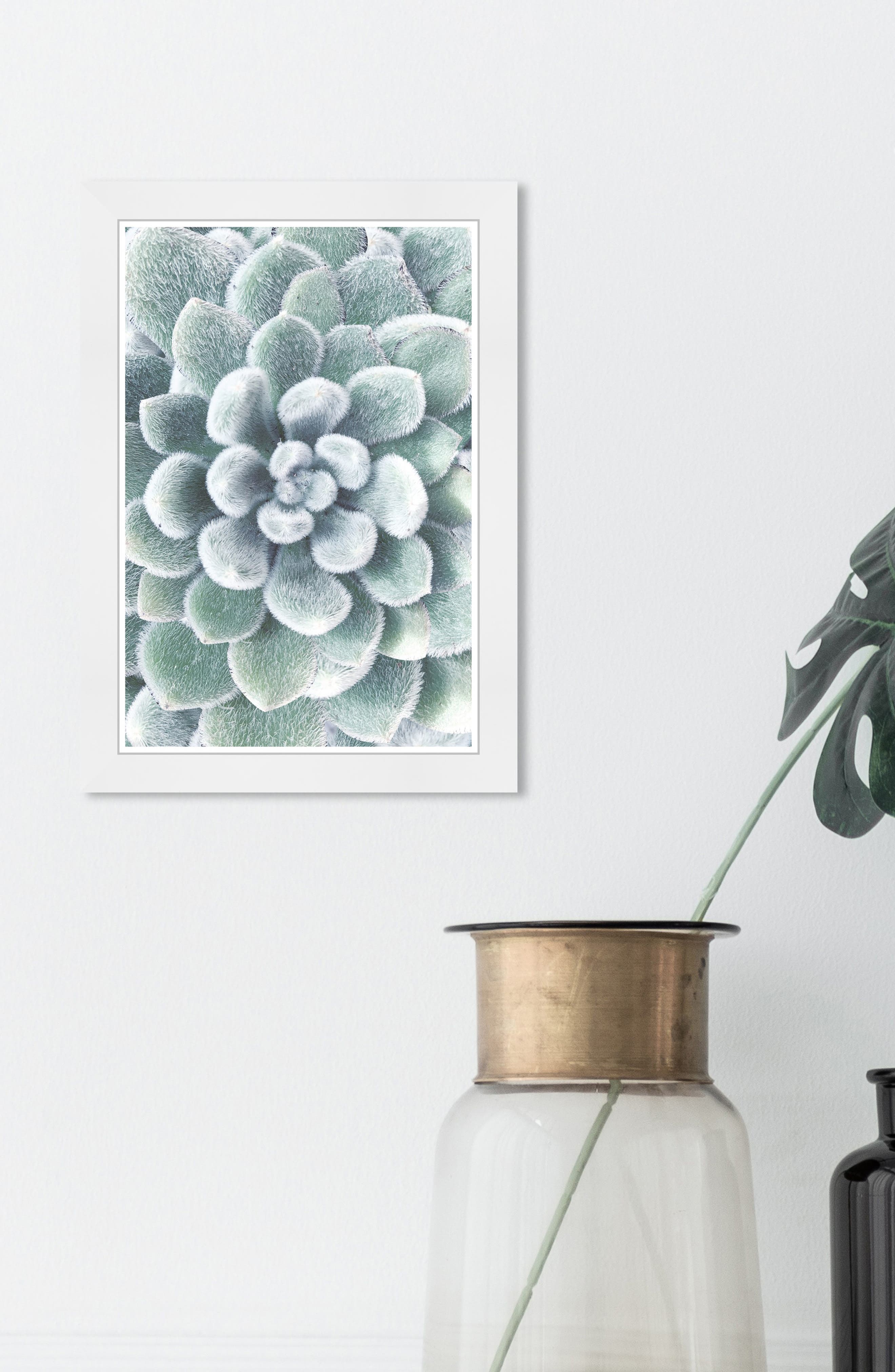 Wynwood Studio Succulent Zoom Wall Art | Nordstromrack