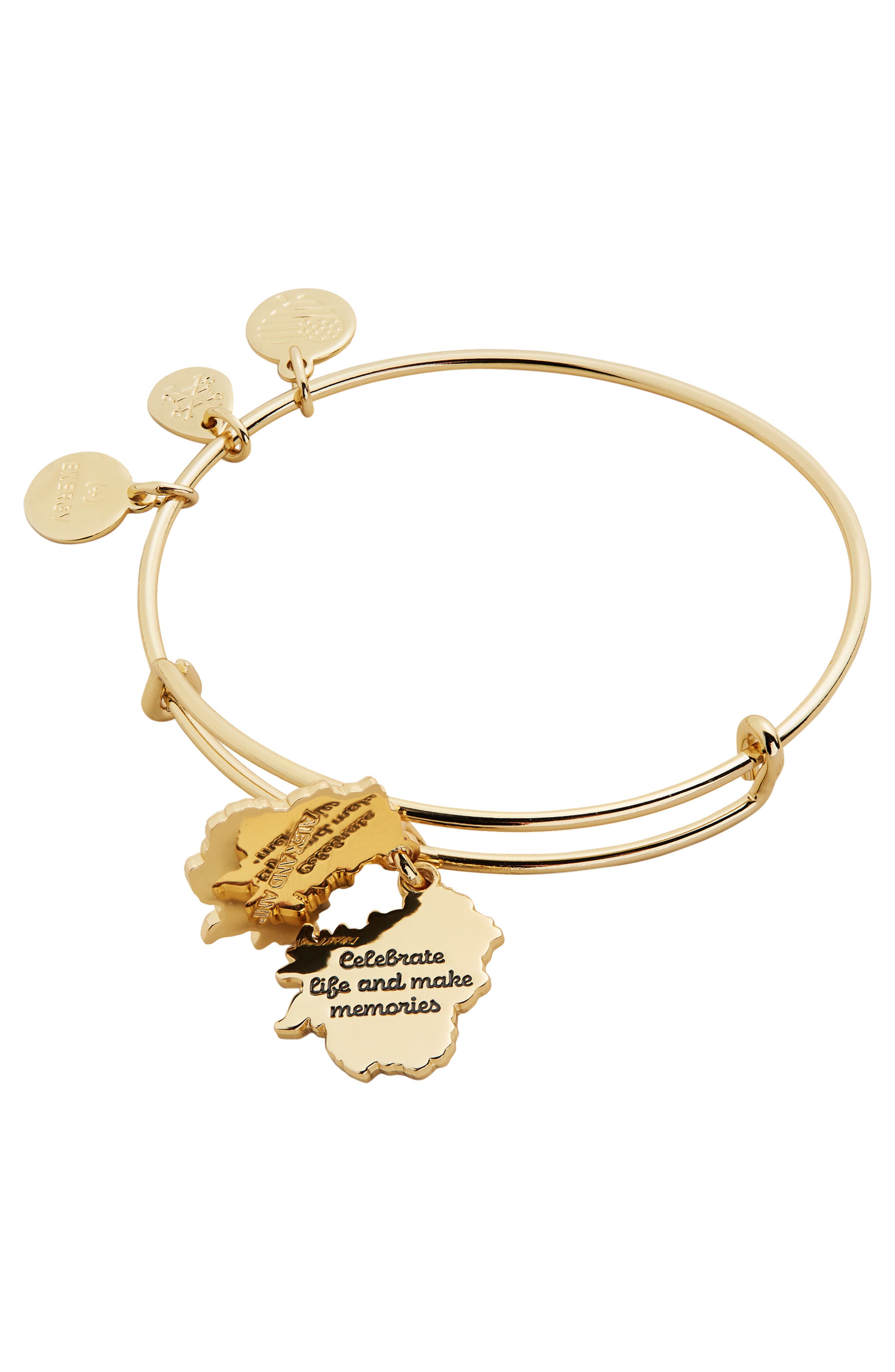 Alex and Ani Delphinium Sentimental Slider Charm Bangle Bracelet ...