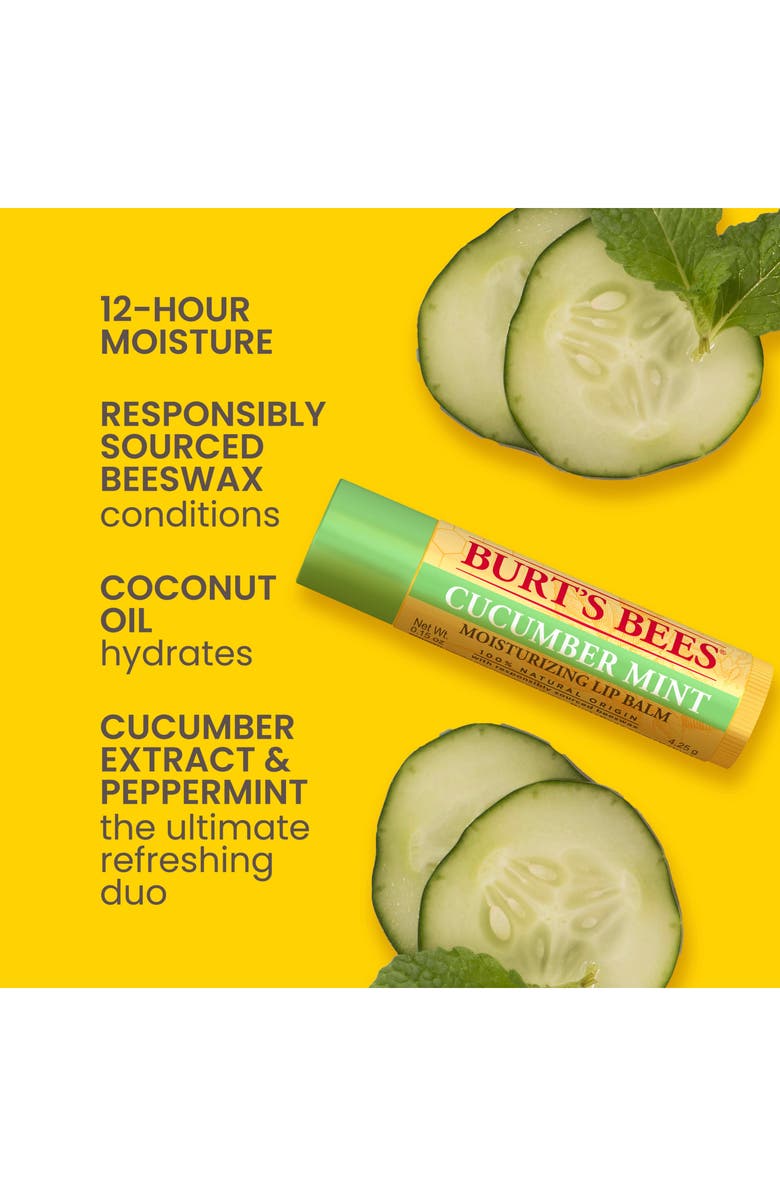 Burt's Bees Cucumber Mint Lip Balm | Nordstromrack