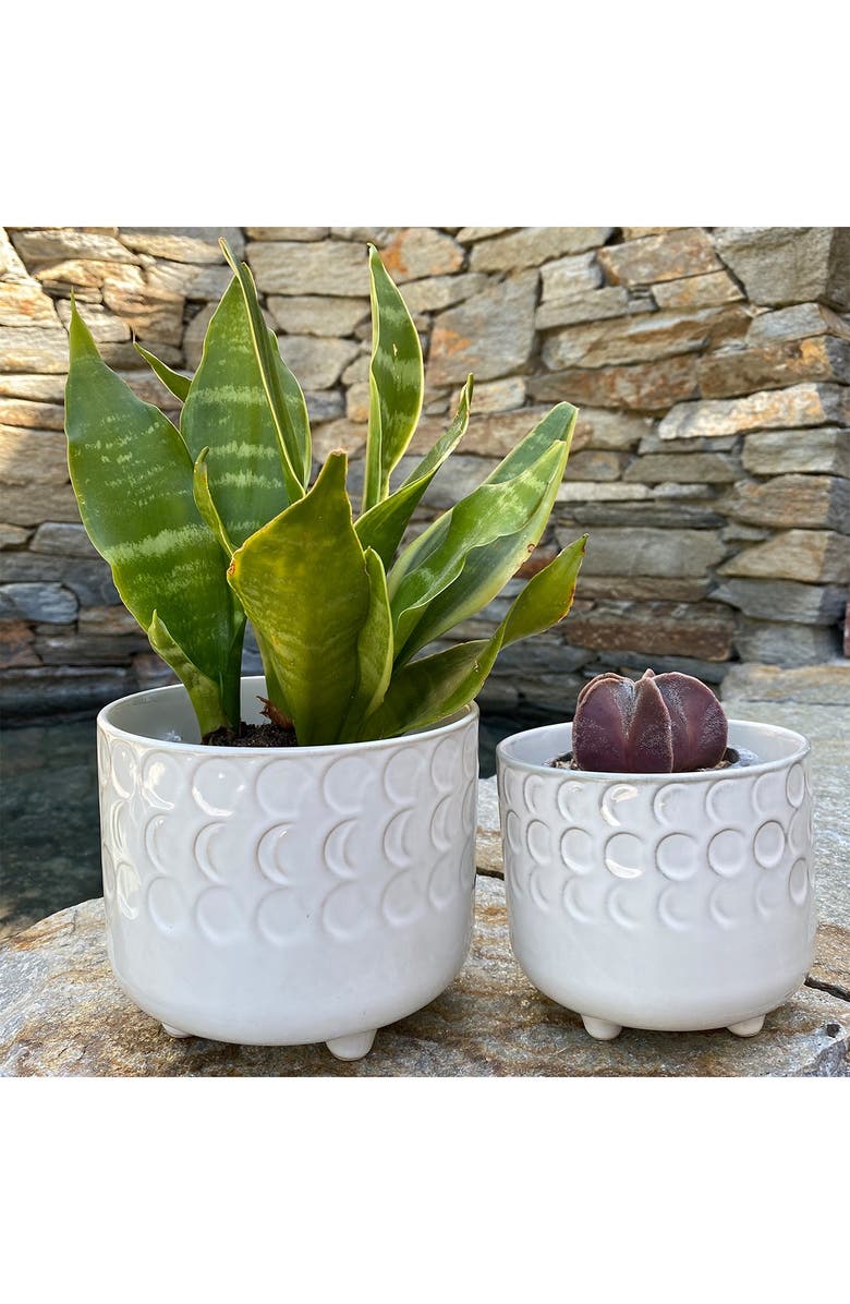 FLORA BUNDA Ivory 6" & 4.75" Small Moon Phase Footed Planter- Set of 2 ...