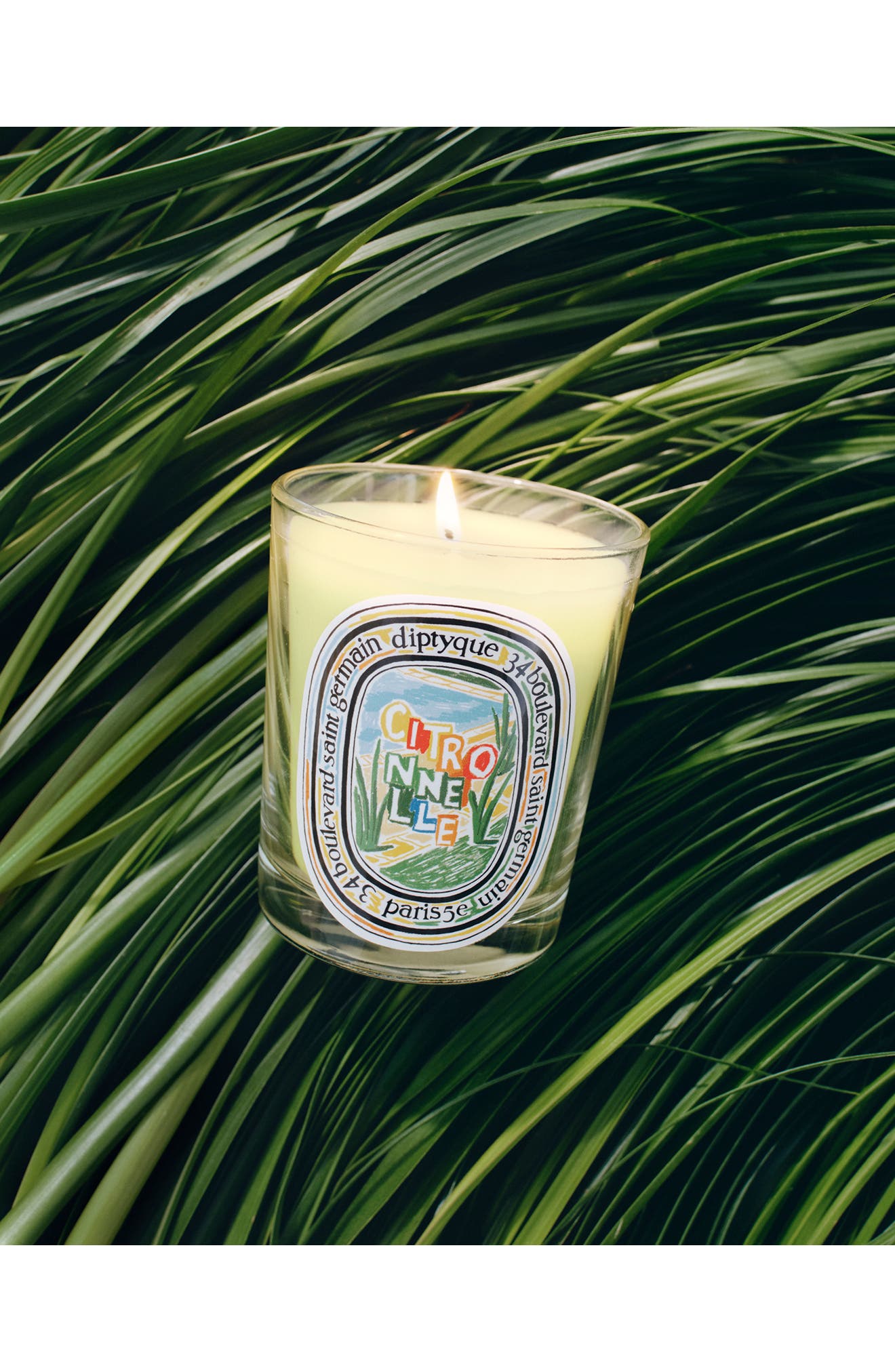 Diptyque Citronnelle Lemongrass & Orange Blossom Scented Candle | Nordstrom