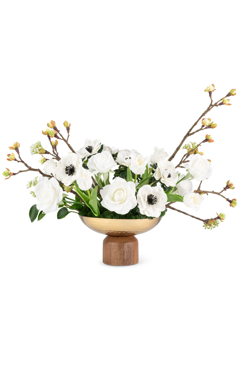 Shop CocoBella Online | Nordstrom