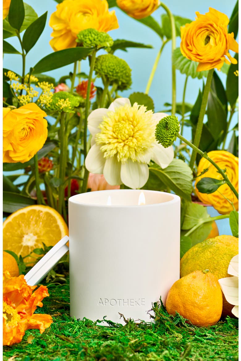 Neroli Citronella Two-Wick Concrete Scented Candle with Lid | Nordstromrack