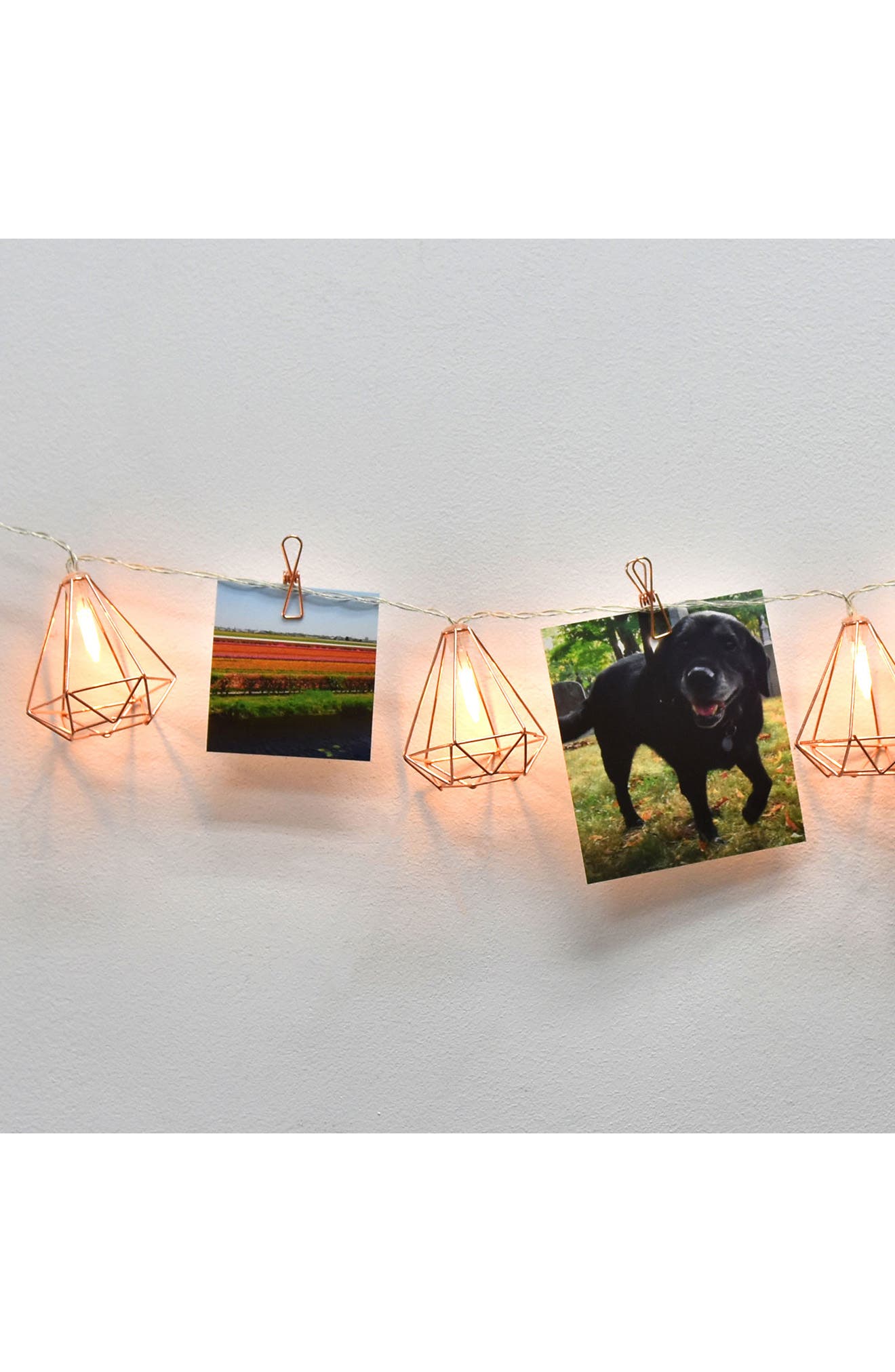 Wallpops Rose Gold Diamond Clip String Lights | Nordstromrack