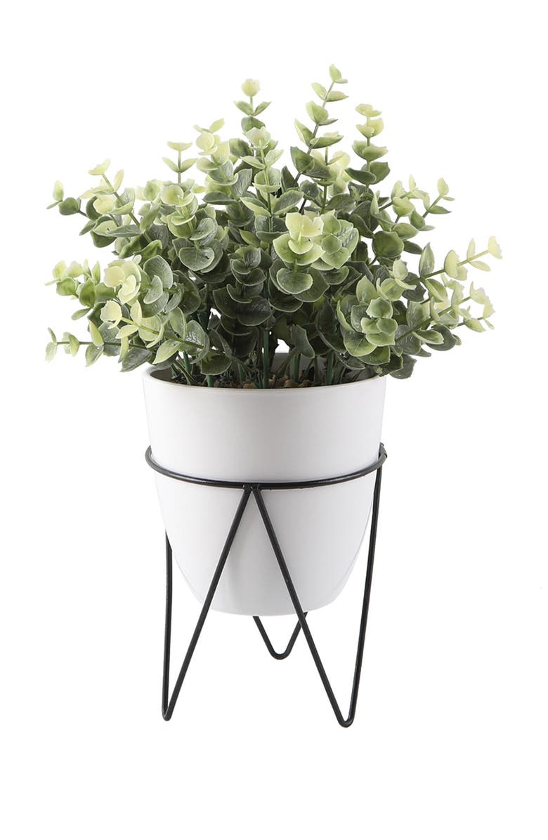 FLORA BUNDA 12" Eucalyptus in 4.75" White Pot in Black Metal Stand ...