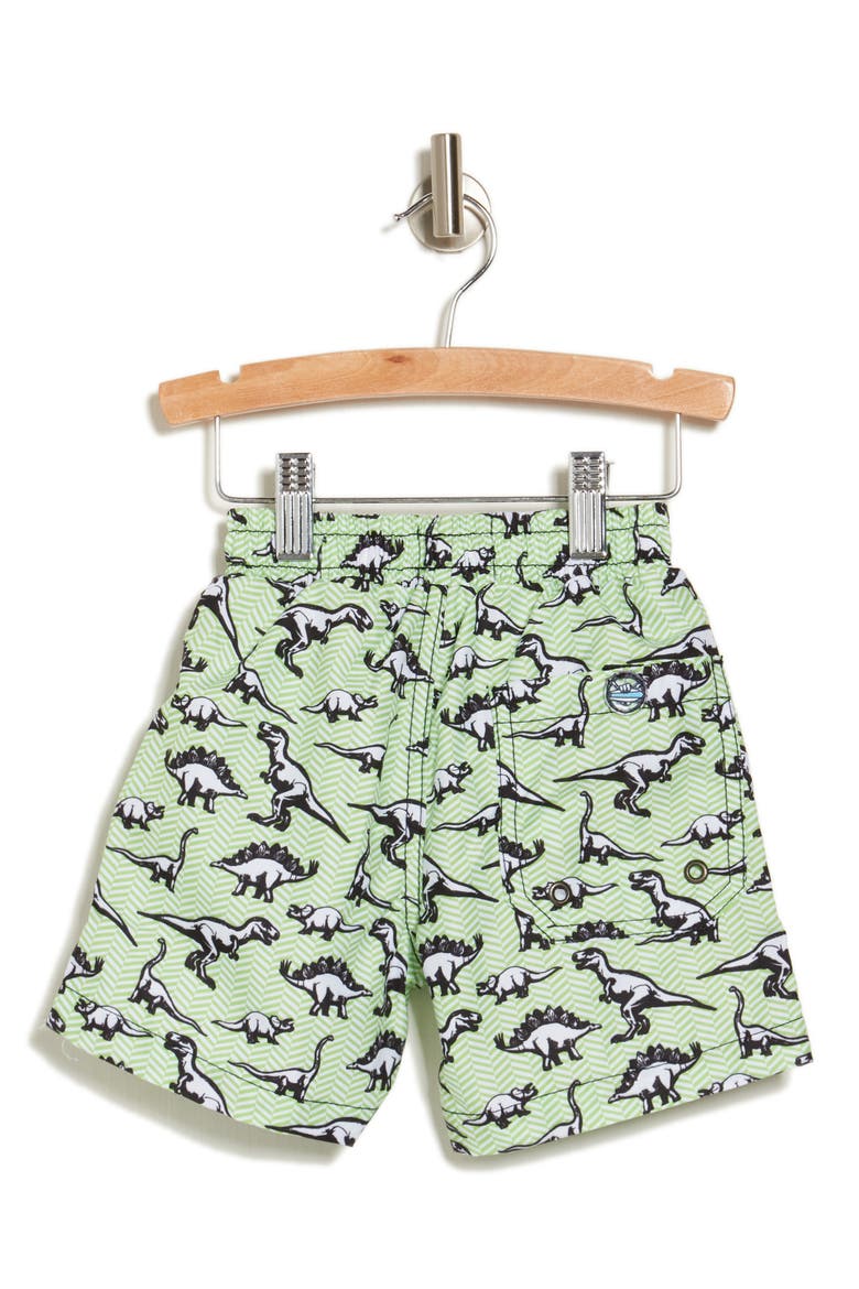 Kids' Chevron Dinosaur Print Swim Trunks (Men) | Nordstromrack