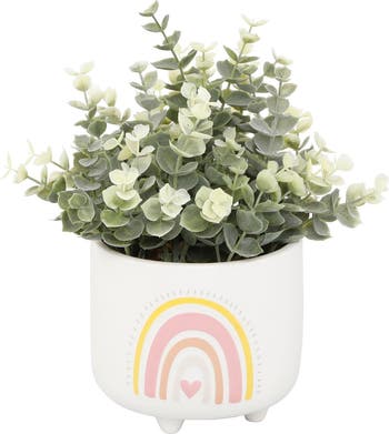 FLORA BUNDA Eucalyptus in 4.75" Double Rainbow Footed Pot | Nordstromrack