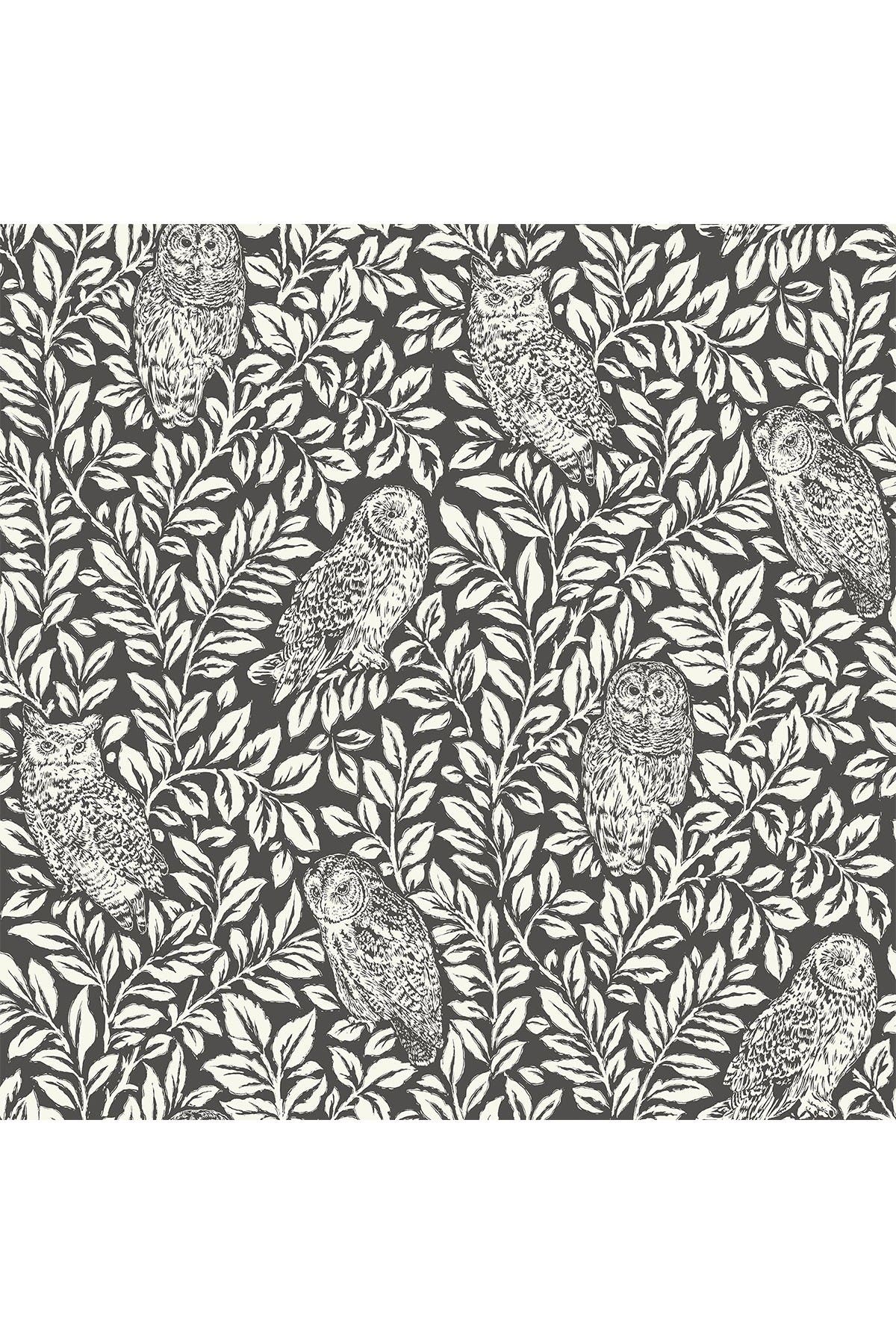 Wallpops Charcoal Sleepy Owls Peel & Stick Wallpaper | Nordstromrack