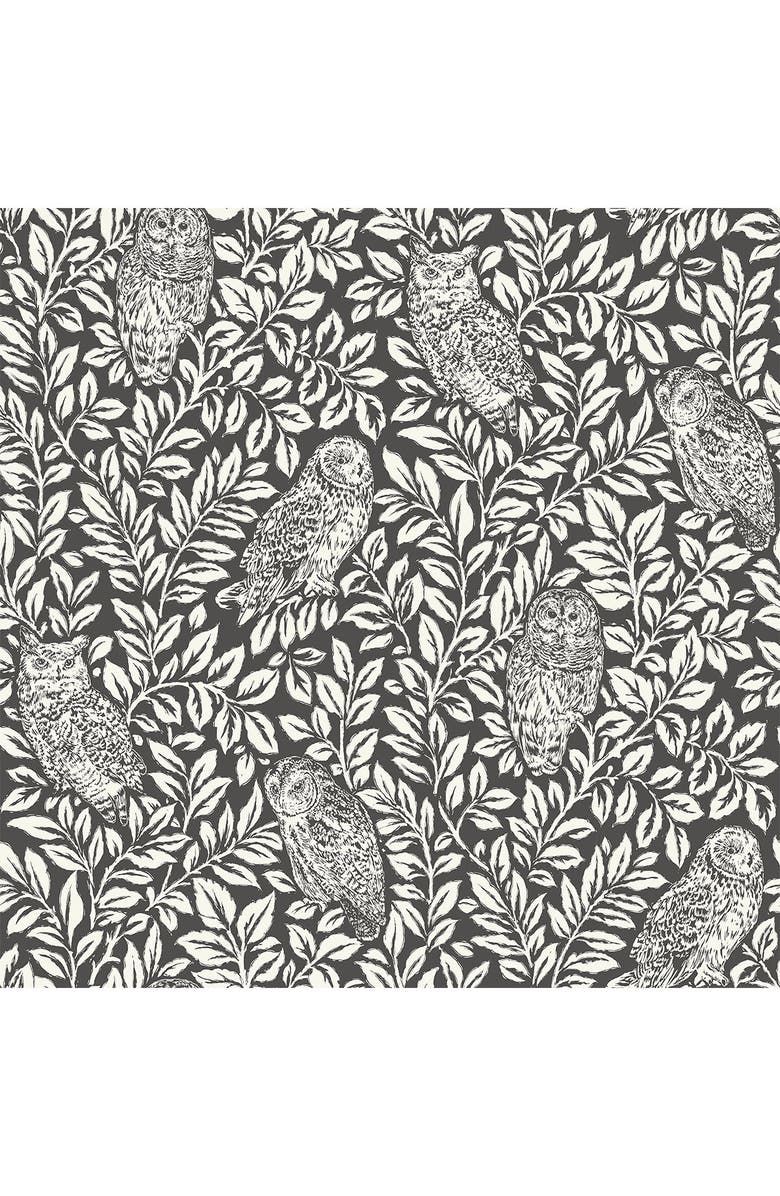 Wallpops Charcoal Sleepy Owls Peel & Stick Wallpaper | Nordstromrack