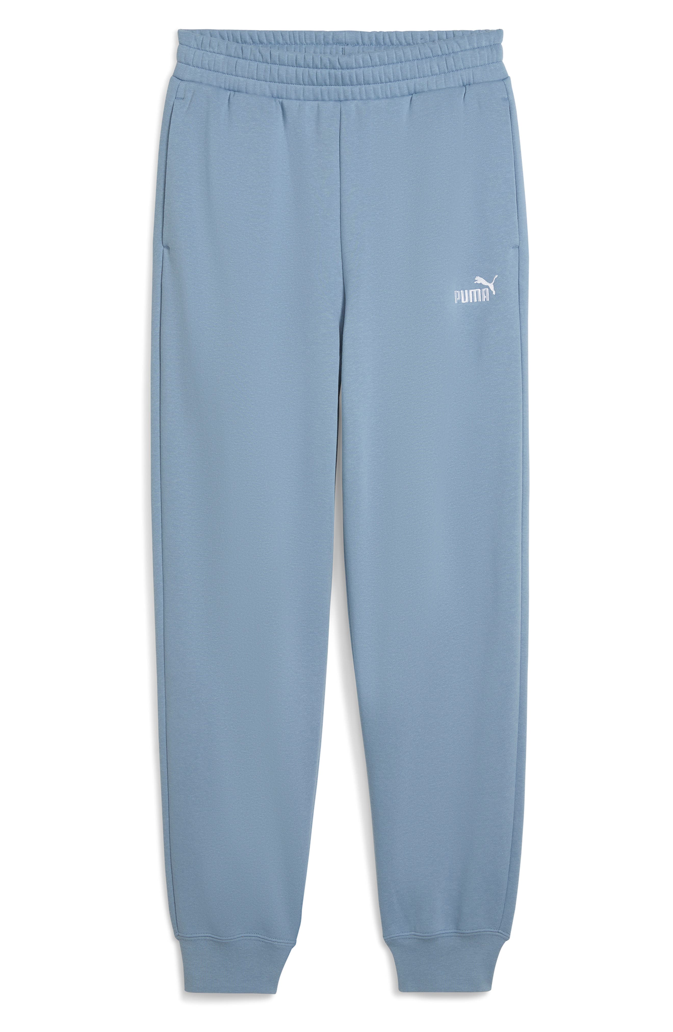 PUMA Essential No. 1 Logo Sweatpants | Nordstromrack