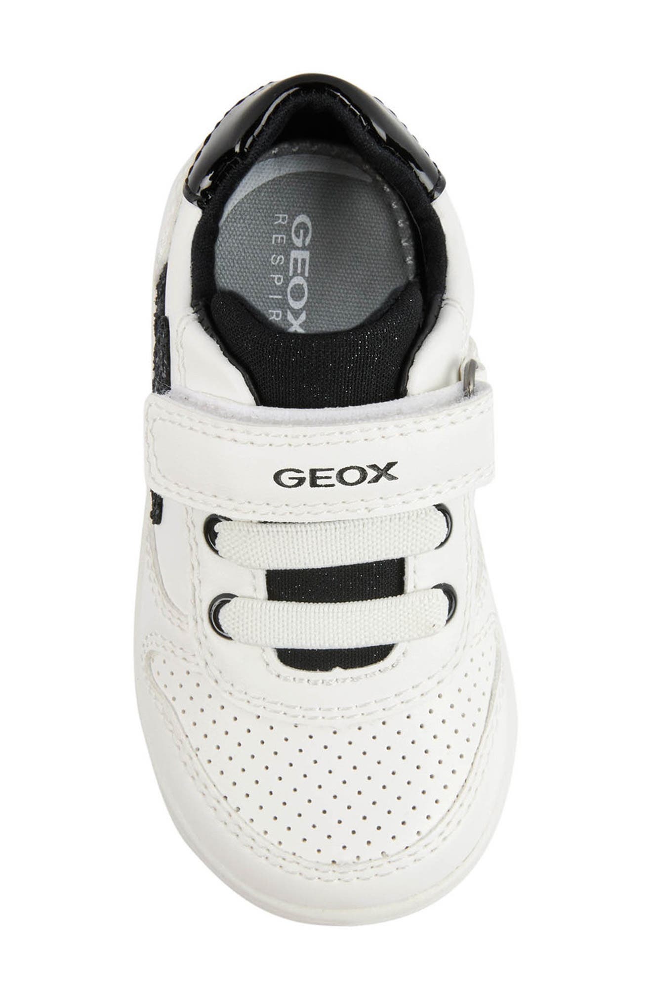 Geox Kids' DJ Rock Sneaker | Nordstromrack