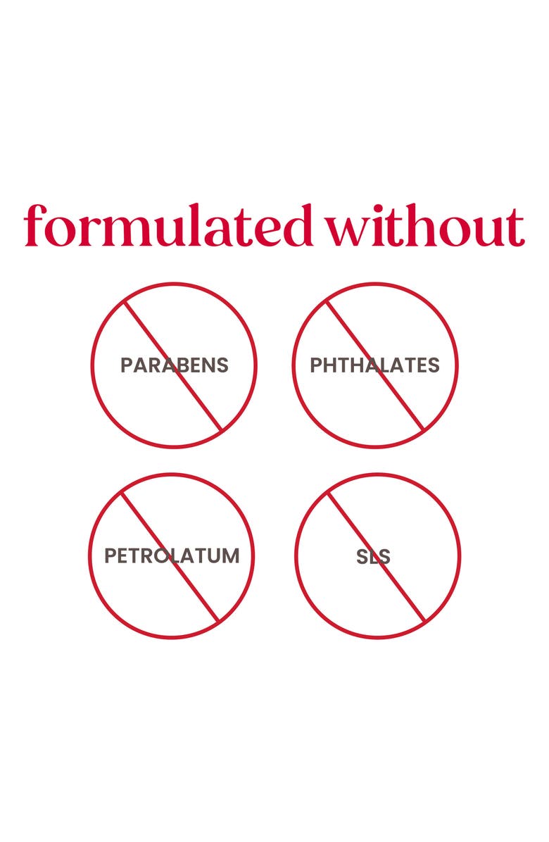 Burt's Bees Kissable Color Frosty Collection Lip Shimmer Gift Set ...