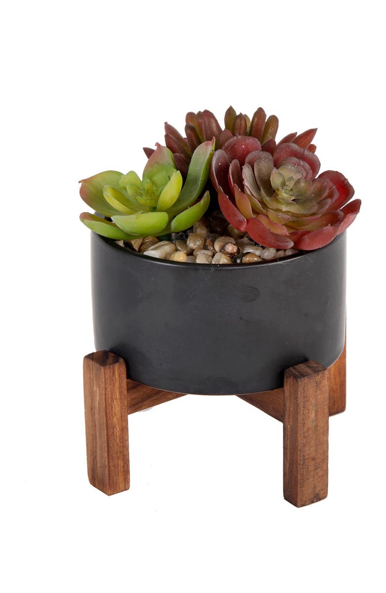 FLORA BUNDA Faux Succulent Mix in 4" Black Ceramic Pot on Stand ...