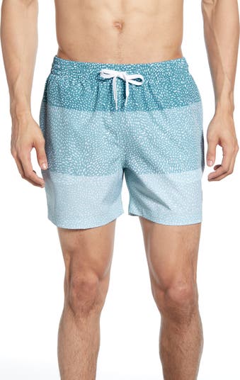 Chubbies Whale Sharks Print Swim Trunks | Nordstrom