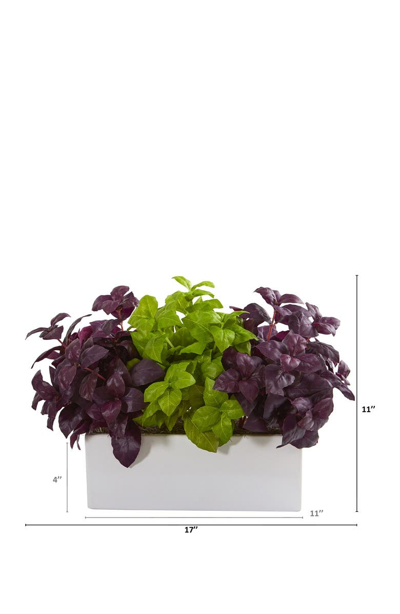 NEARLY NATURAL Basil Artificial Plant in White Planter | Nordstromrack