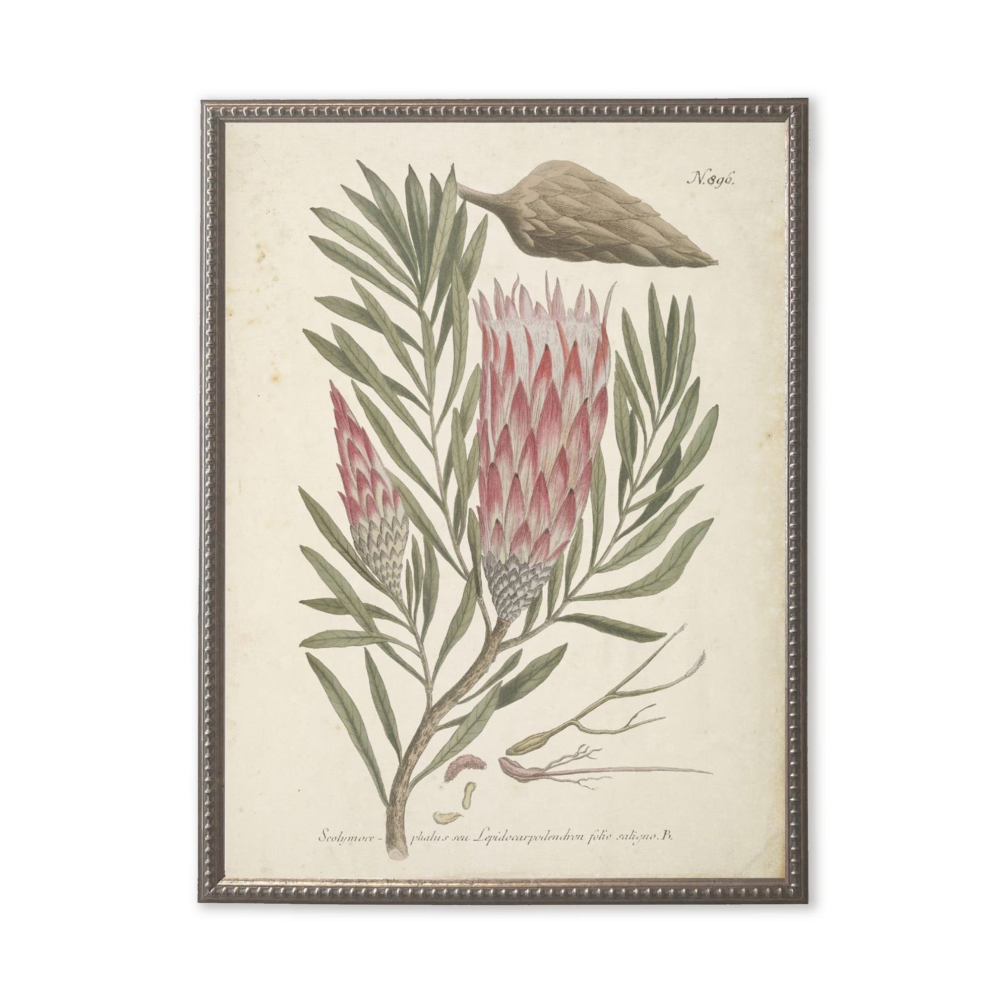 Pink Flower in Silver-Beaded Frame | Nordstrom