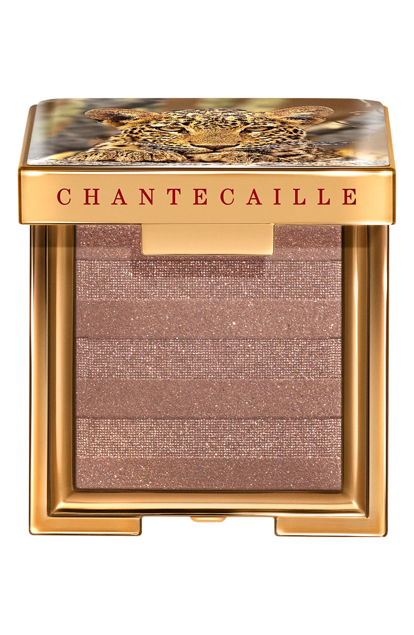 Chantecaille Luminescent Eye Shade Eyeshadow | Nordstrom