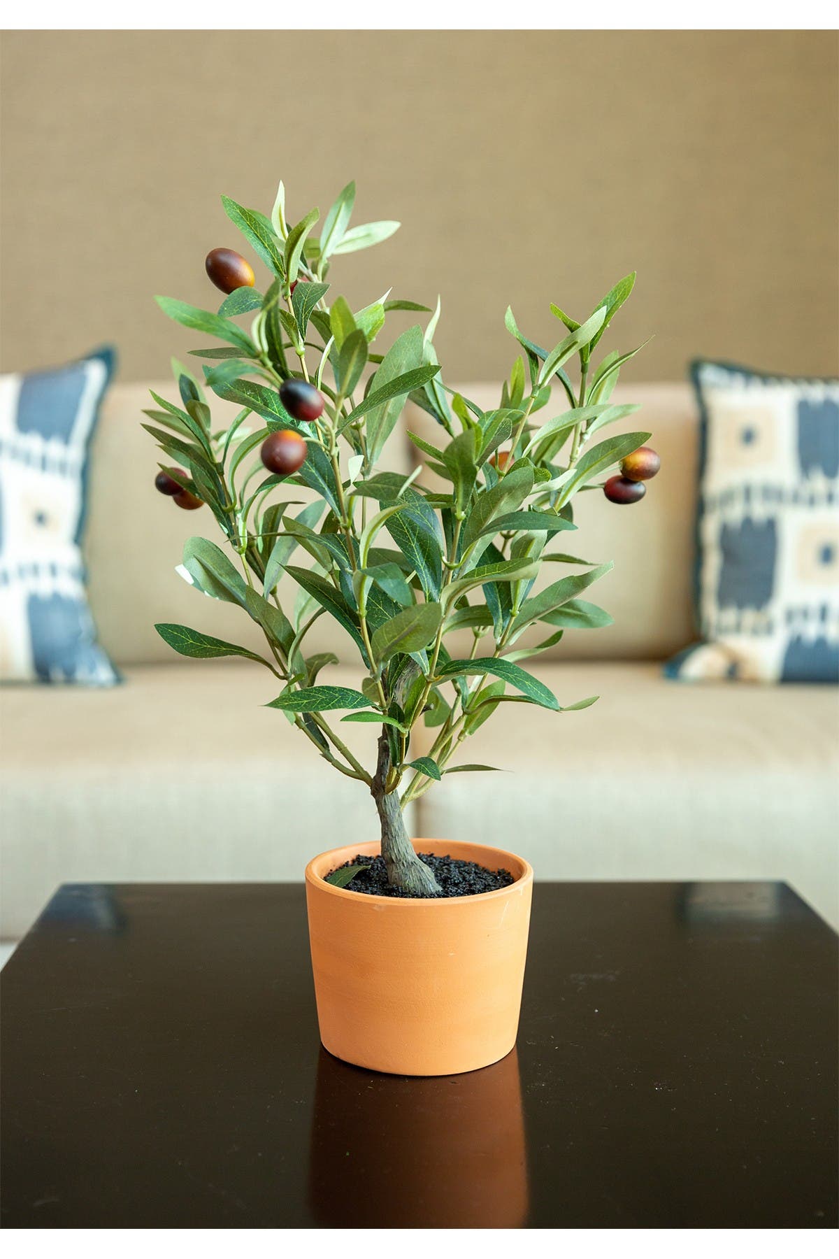 FLORA BUNDA Orange Terracotta 18" Olive Tree in 4.5" Clay Pot ...